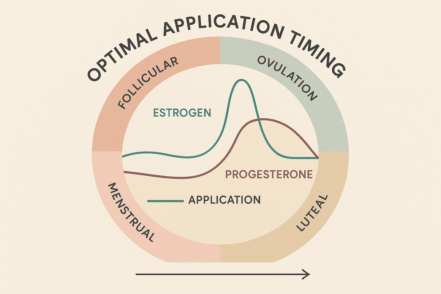How to Apply Estrogen Cream with Finger | enov.one